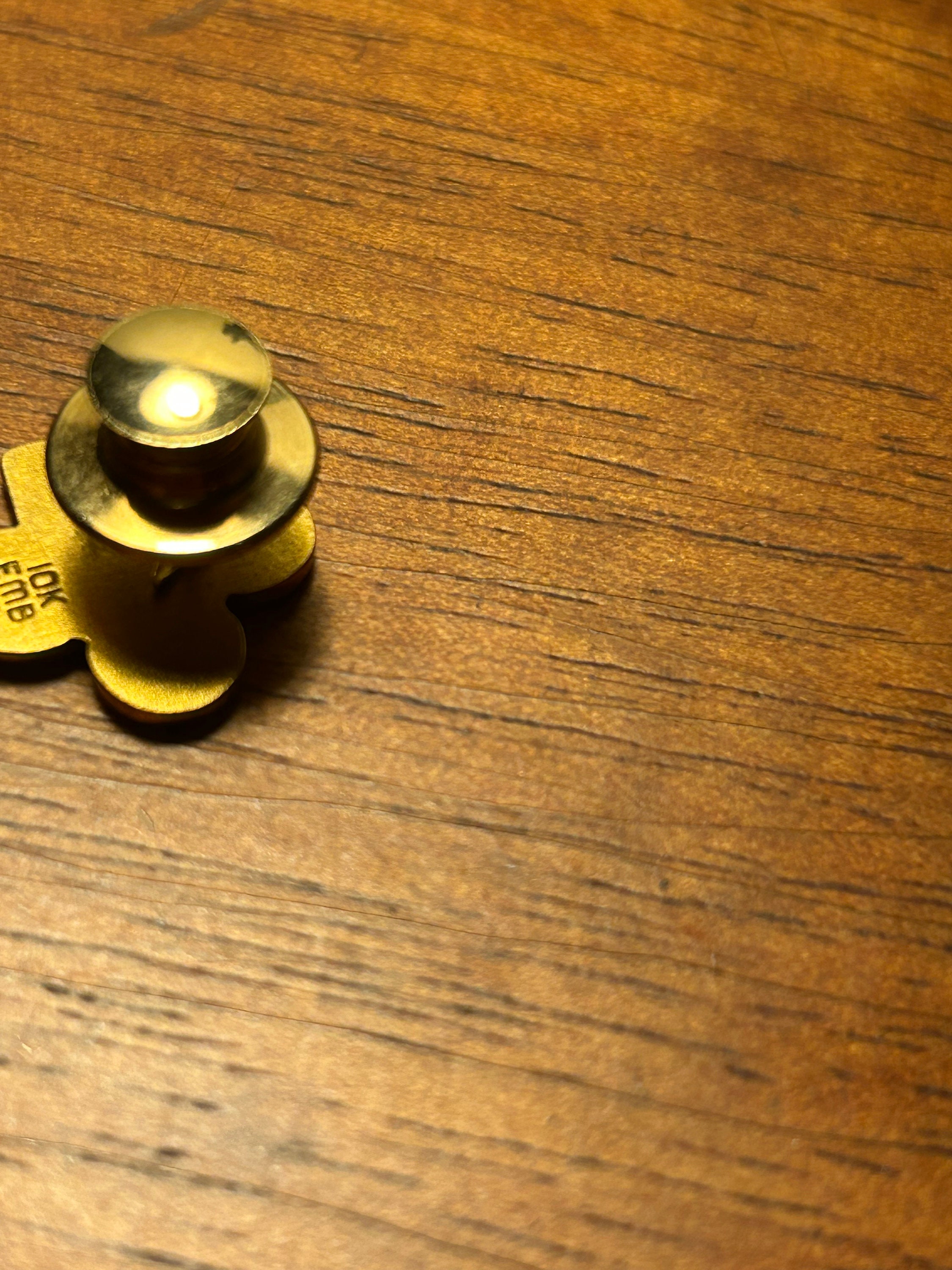 Loma Linda University Medical Center 10K Gold 5 Year Pendant Doctor ...