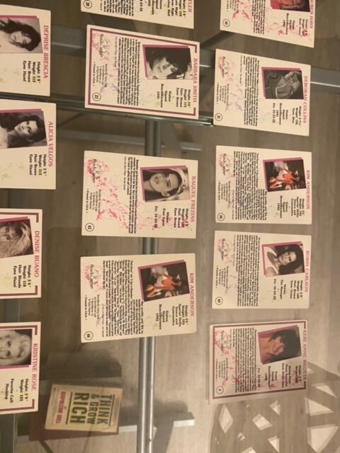 Benchwarmer Sexy Women Girl Model Trading Cards 1992 Sports Lingerie ...