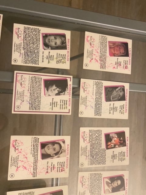 Benchwarmer Sexy Women Girl Model Trading Cards 1992 Sports Lingerie ...