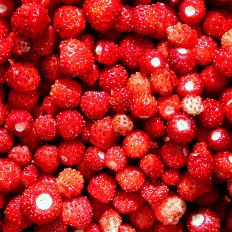 Alpine Strawberry - Etsy