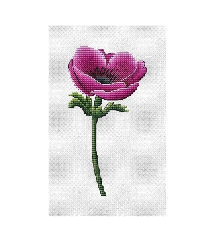Anemone Cross-stitch PDF Pattern ; Wind Flower Embroidery Pattern ...