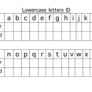 Letter Sound and Letter Identification Assessment - Etsy