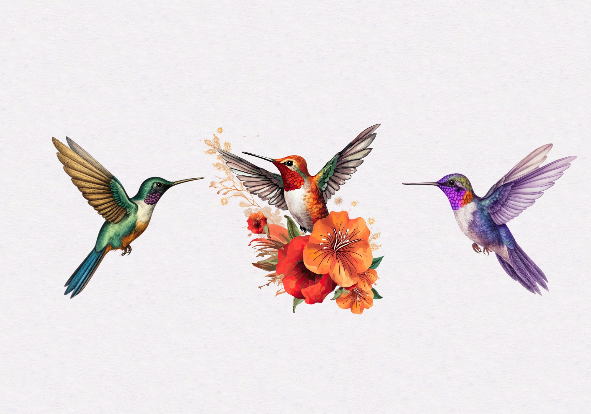 Midcentury Modern Hummingbird Clipart Bundle Hummingbird Illustrations ...