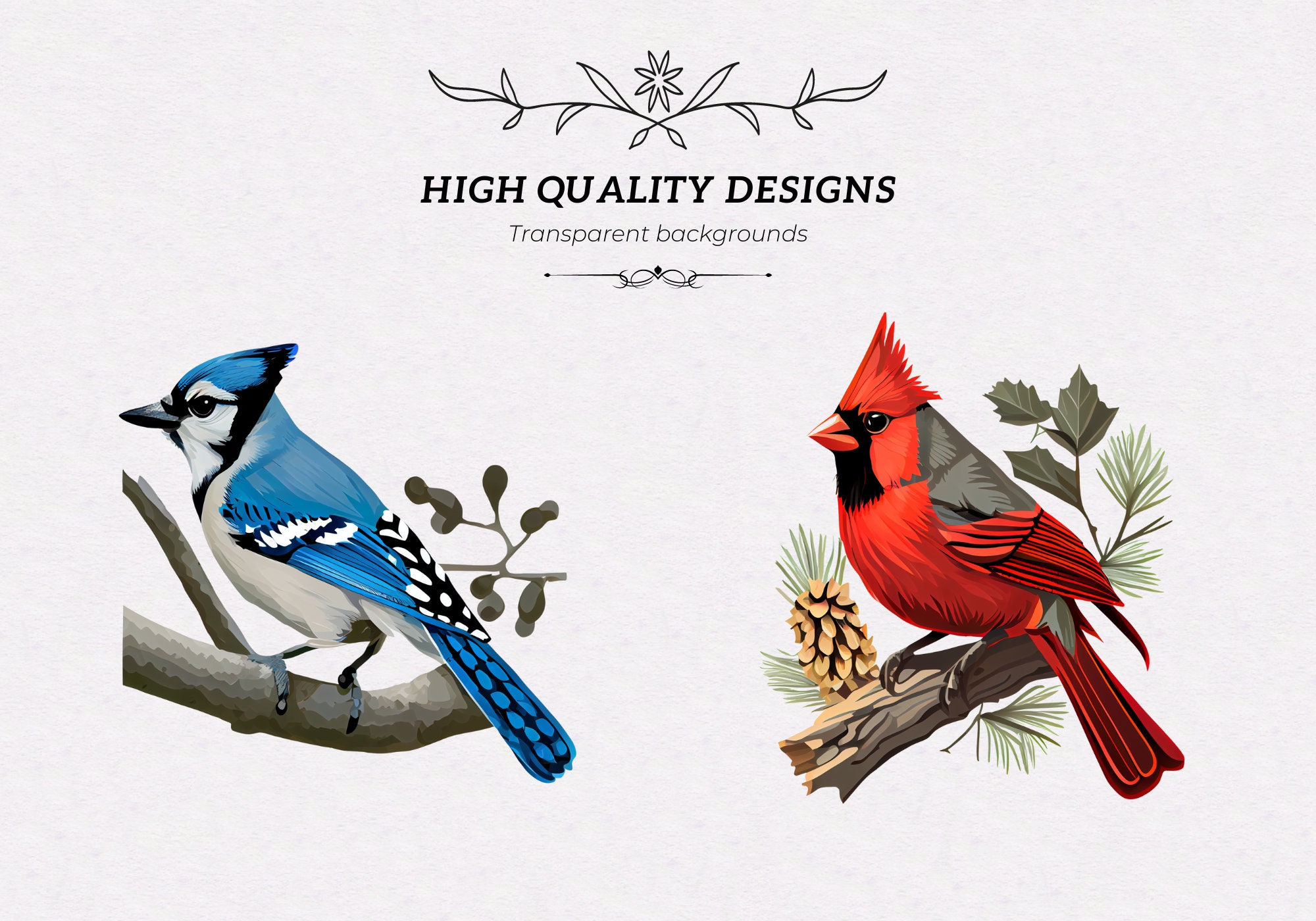 Midcentury Modern Bird Clipart Bundle | North American Bird ...