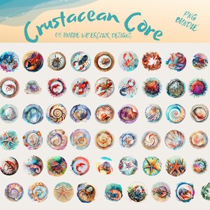 Crustacean Core PNG Digital Download Beach Clip Art Bundle | 65 ...