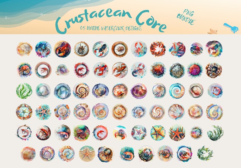 Crustacean Core PNG Digital Download Beach Clip Art Bundle 65 ...