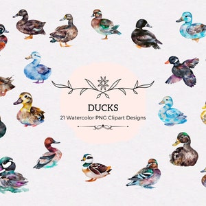 PNG Duck Clipart | Watercolor Duck Art | Digital Download Bundle | 21 ...
