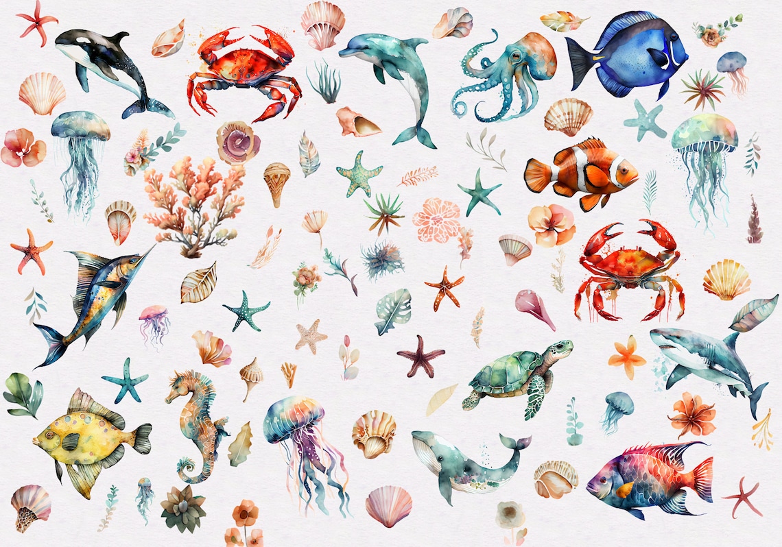 Sea Animal Clip Art 95 Crustacean Core PNG Digital - Etsy