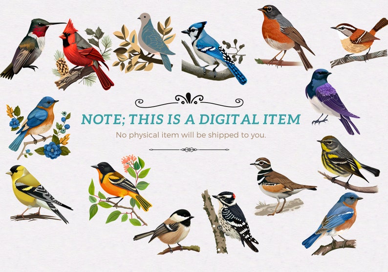 Midcentury Modern Bird Clipart Bundle | North American Bird ...