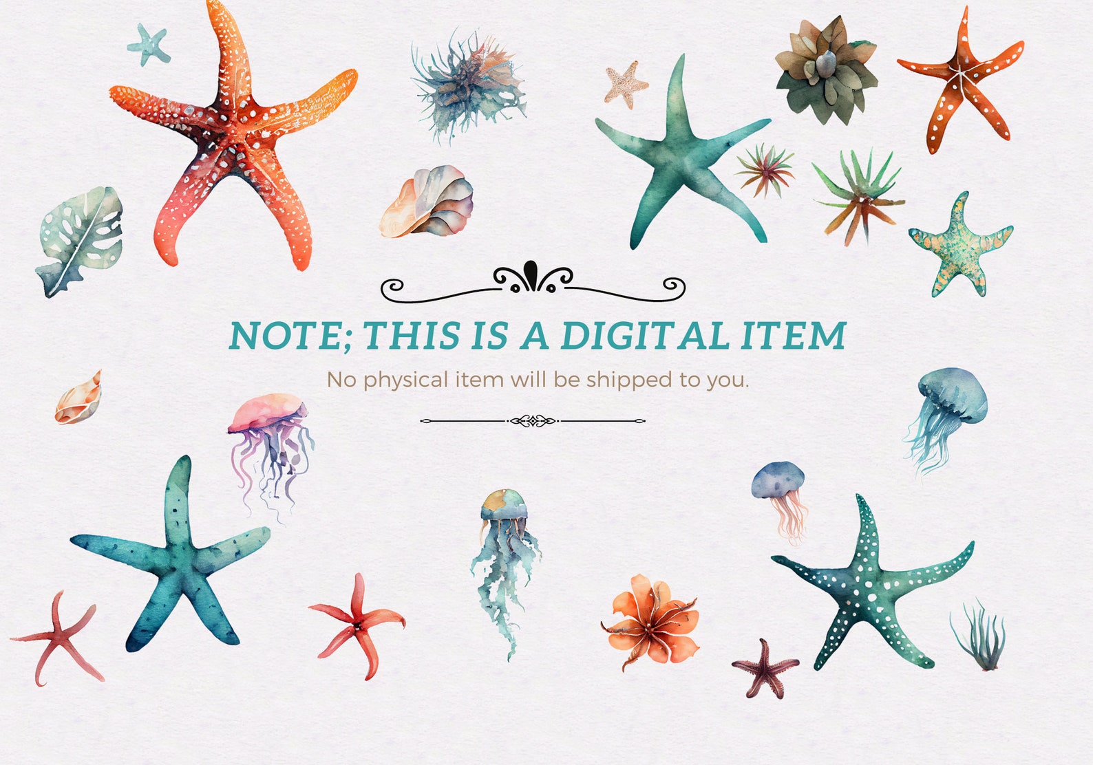 Sea Animal Clip Art 95 Crustacean Core PNG Digital Downloads Fish ...