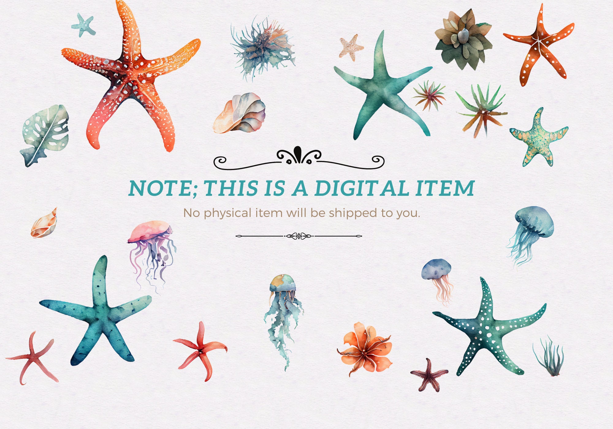 Sea Animal Clip Art 95 Crustacean Core PNG Digital Downloads Fish ...