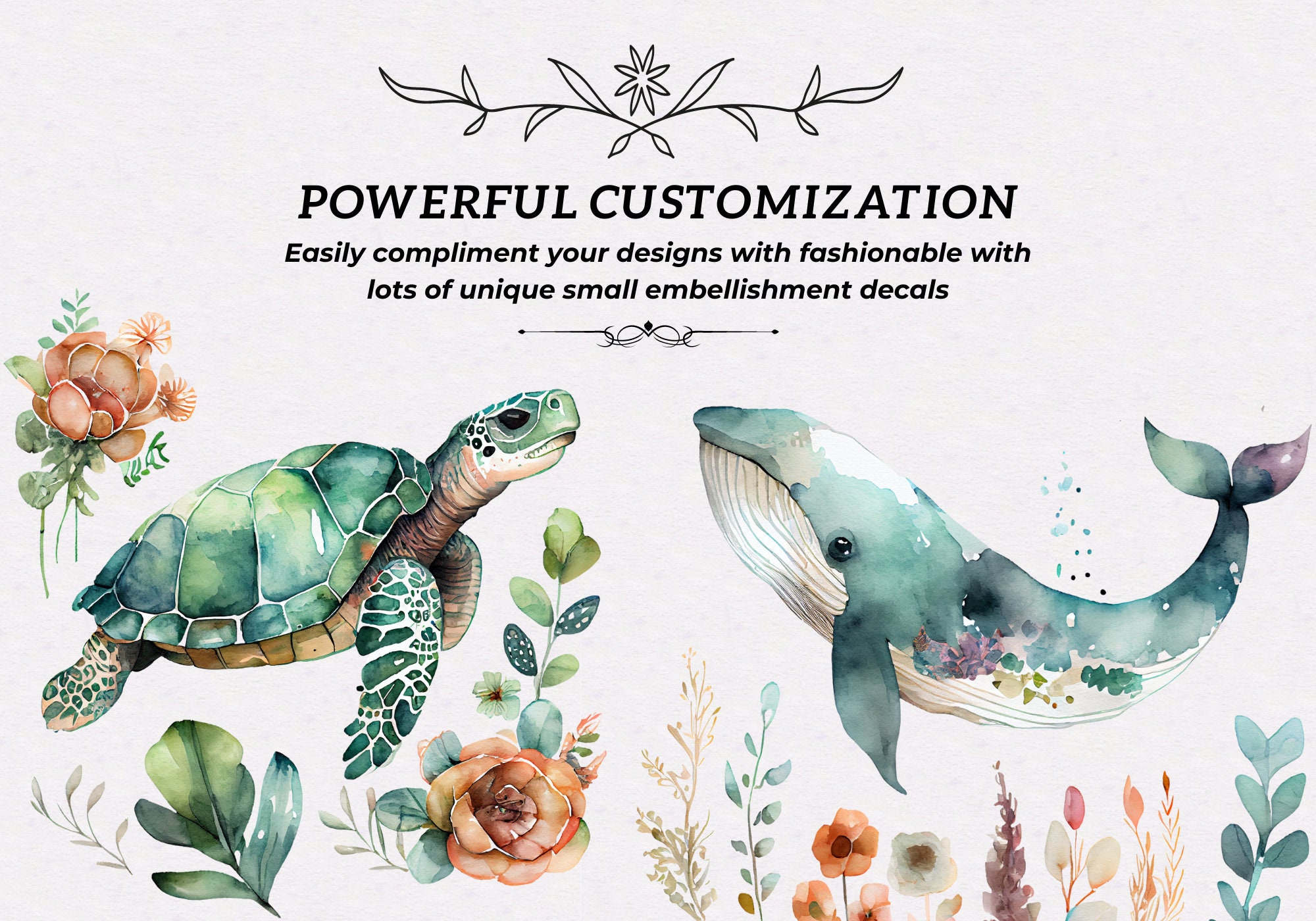 Sea Animal Clip Art 95 Crustacean Core PNG Digital Downloads Fish ...