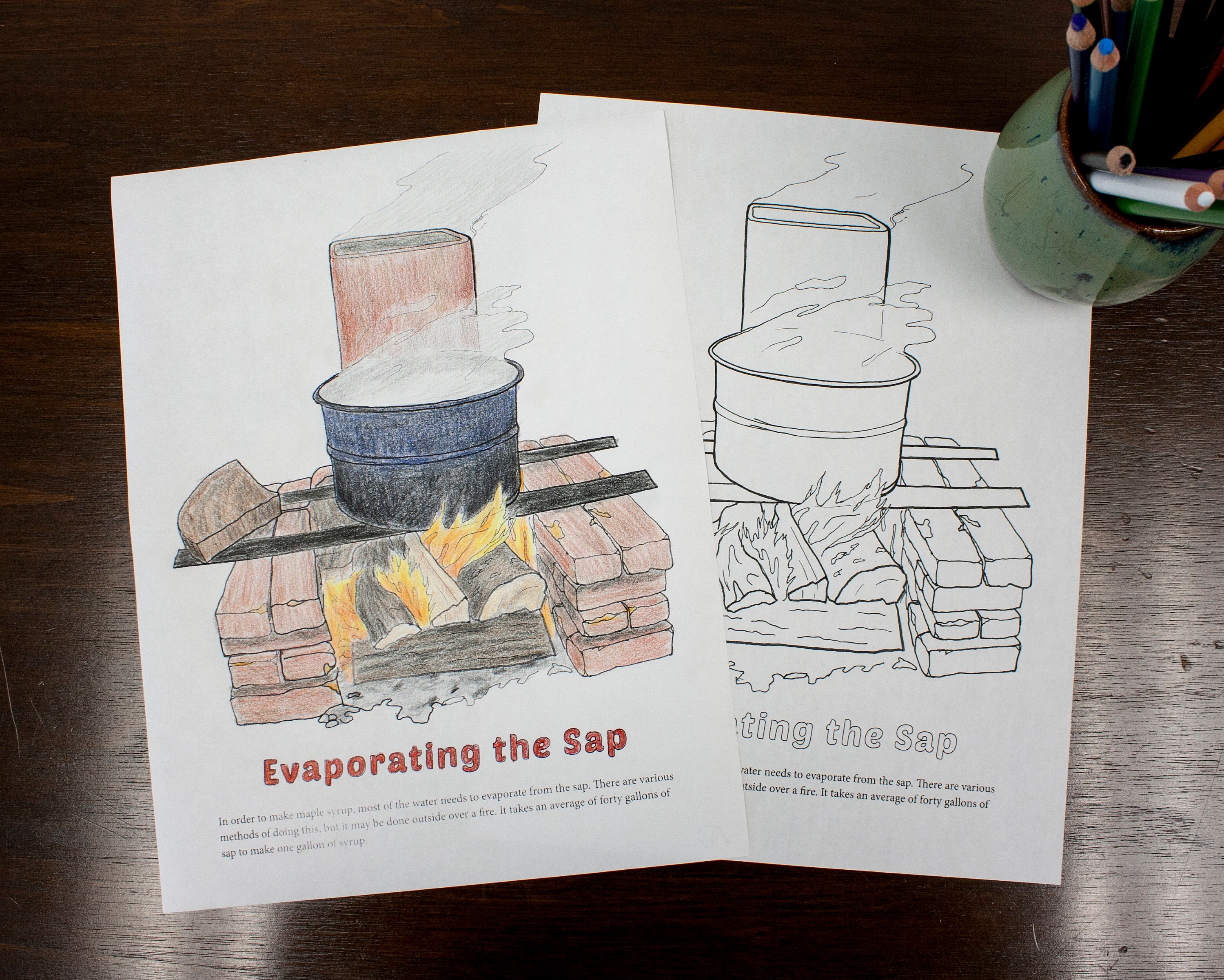 8.5"x11" Printable PDF Coloring Sheets, 4 Sheets, Making Maple Syrup - Etsy