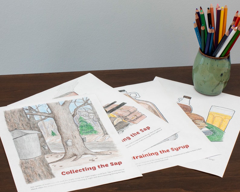 8.5"x11" Printable PDF Coloring Sheets, 4 Sheets, Making Maple Syrup - Etsy