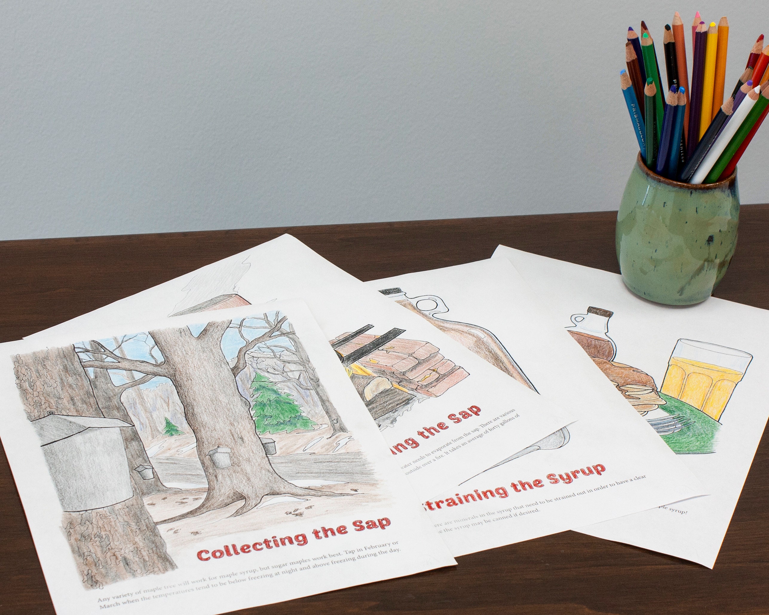 8.5"x11" Printable PDF Coloring Sheets, 4 Sheets, Making Maple Syrup - Etsy