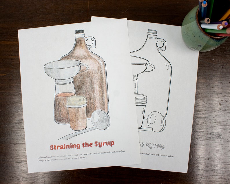 8.5"x11" Printable PDF Coloring Sheets, 4 Sheets, Making Maple Syrup - Etsy
