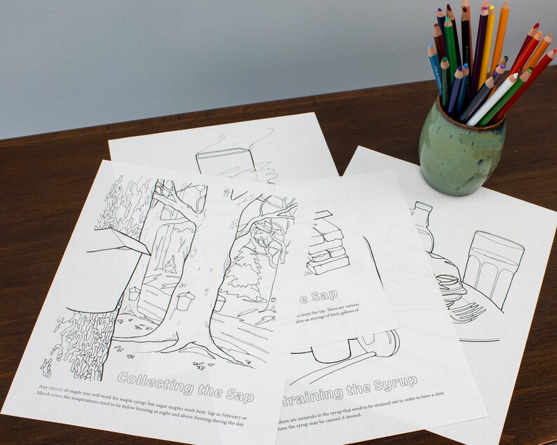 8.5"x11" Printable PDF Coloring Sheets, 4 Sheets, Making Maple Syrup - Etsy