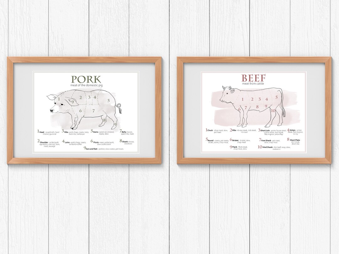 Anatomy of Beef, Anatomy of Pork, Kitchen Meat Break Down, Cow, Pig ...