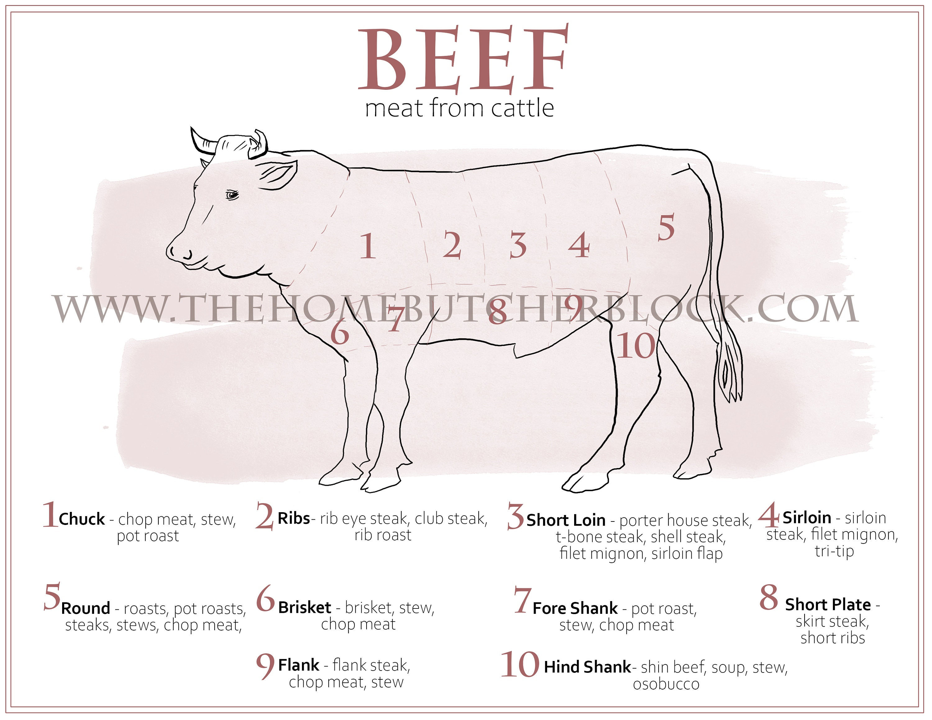 Anatomy of Beef, Anatomy of Pork, Kitchen Meat Break Down, Cow, Pig ...