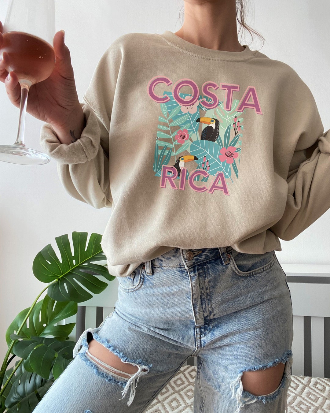 Costa Rica Sweatshirt, Toucan Shirt, Retro Tropical Summer Shirt ...