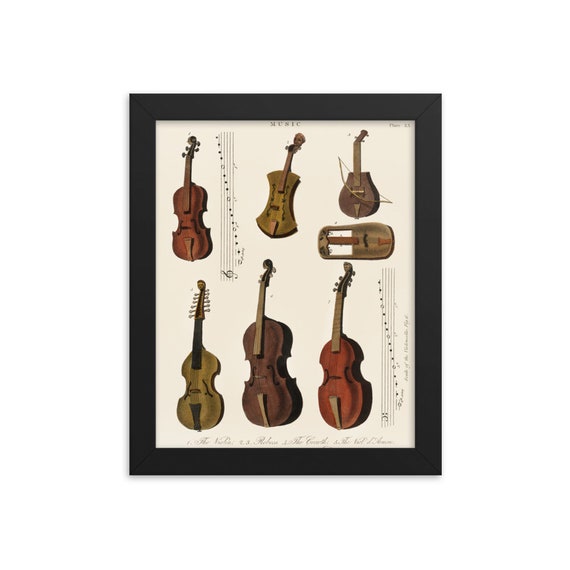 Viola Instrument Drawing