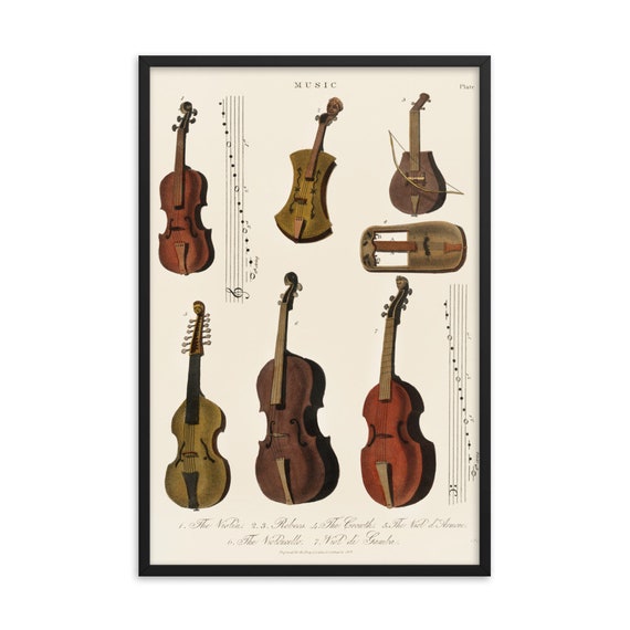 Viola Instrument Drawing