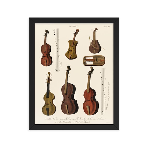 Viola Instrument Drawing