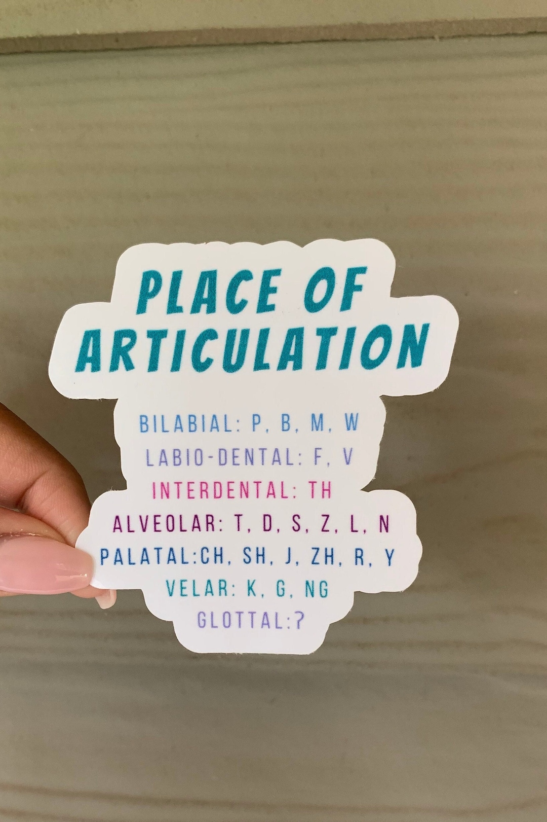 Place of Articulation Speech Therapy Glossy Sticker - Etsy