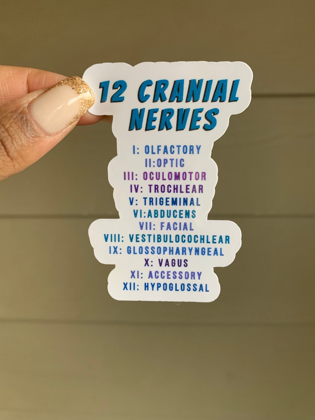 12 Cranial Nerves Roman Numerals Sticker | SLP/SLPA, Medical Sticker ...