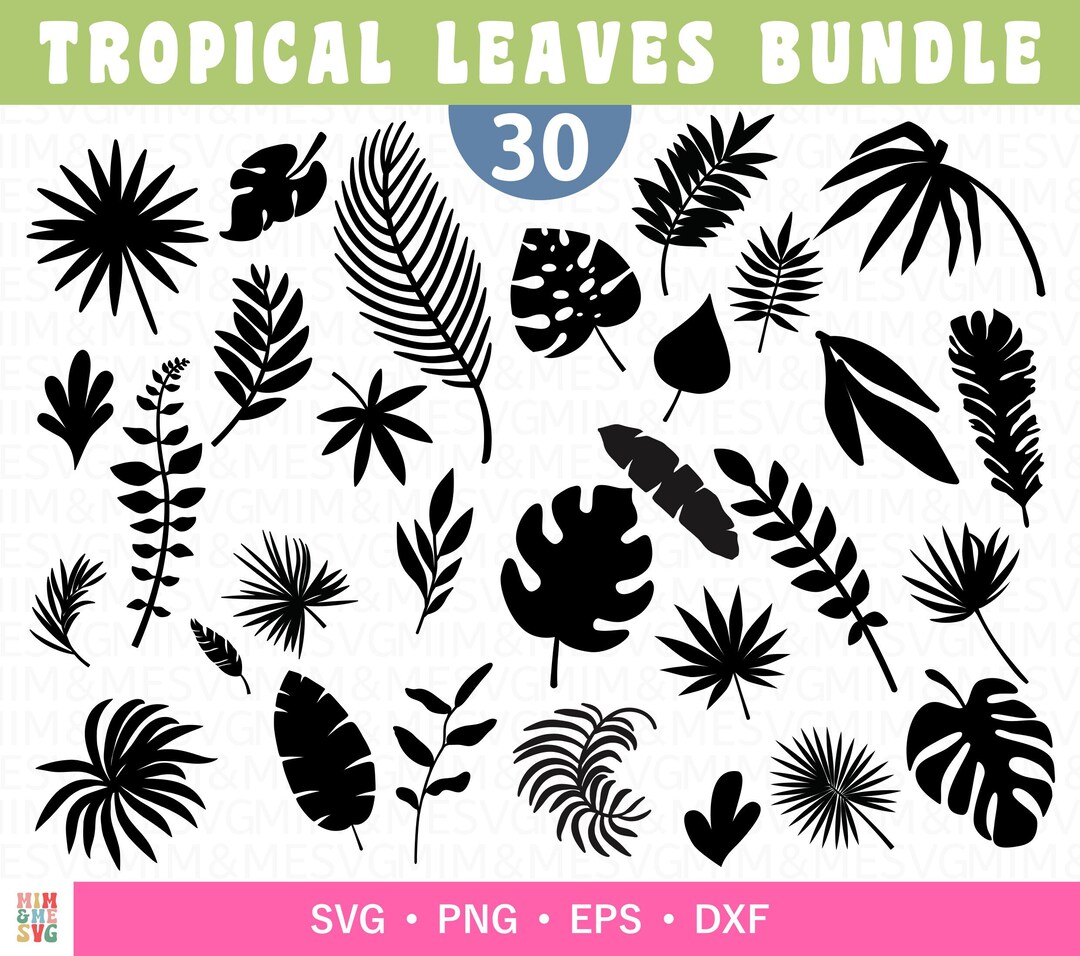 Tropical Leaves Svg Monstera Leaf Svg Jungle Leaves Clipart - Etsy Canada