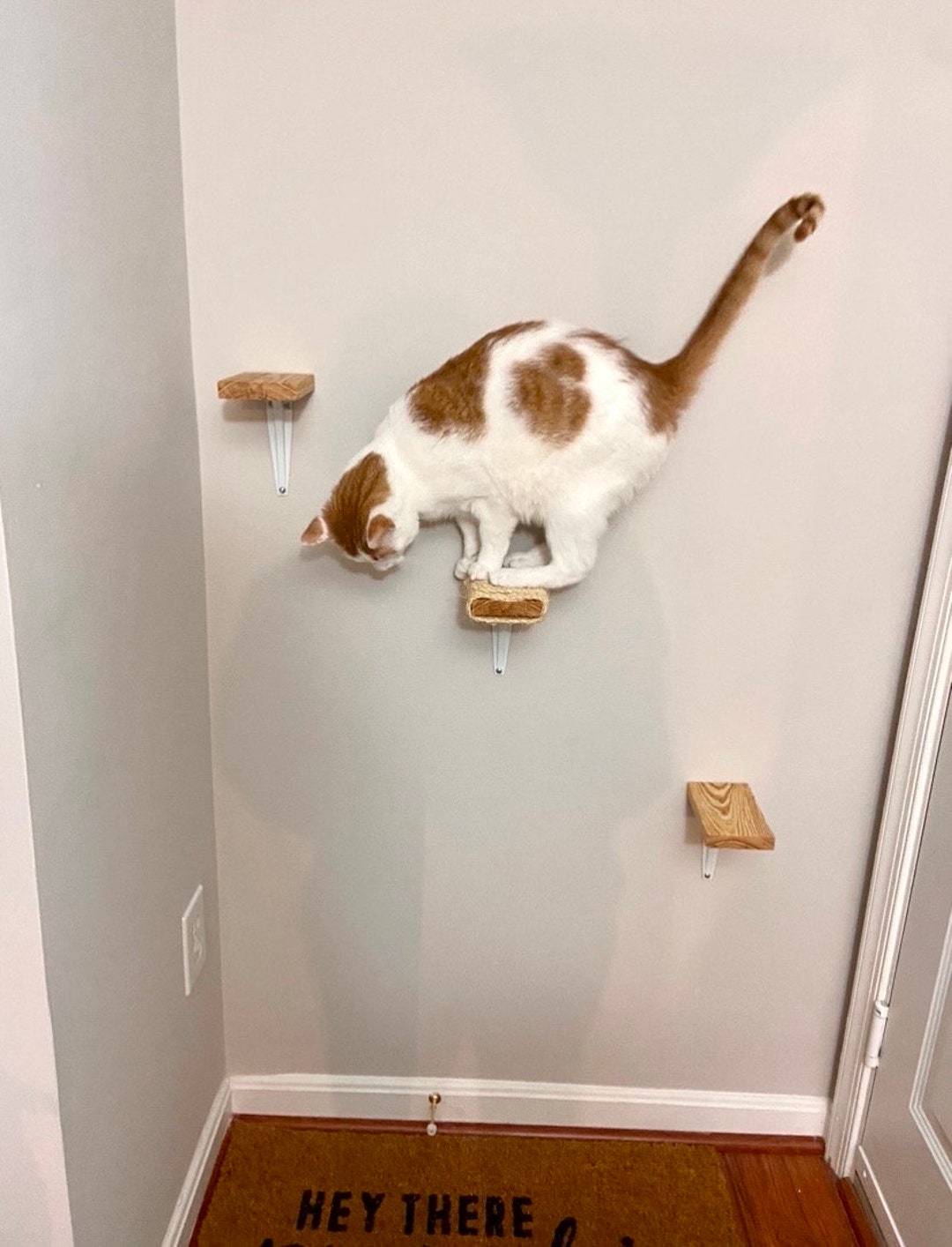 Sisal Rope Wrapped Set of 3 Cat Wall Steps, Wood Steps for Cats ...