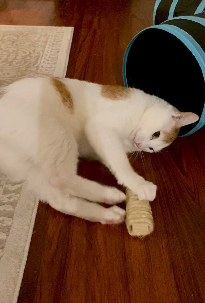 Catnip Cat Kicker Toy, Handmade Cat, Rope Cat Toy Stick, Cat Toy Catnip ...