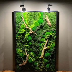 Preserved Moss Wall Art, LED Lighted Moss Wall Hanging, Driftwood and ...