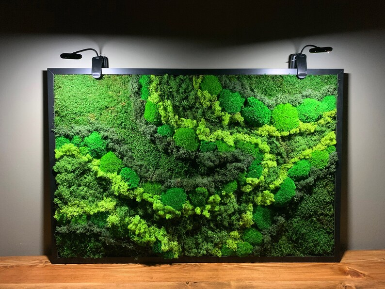 LED Preserved Moss Wall Art: Framed Eco-friendly Moss Hanging - Etsy