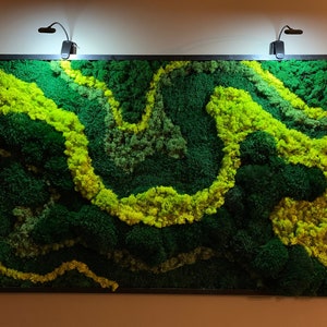 Preserved Moss Wall Art, LED Lighted Moss Wall Hanging, Led Lights 100% ...