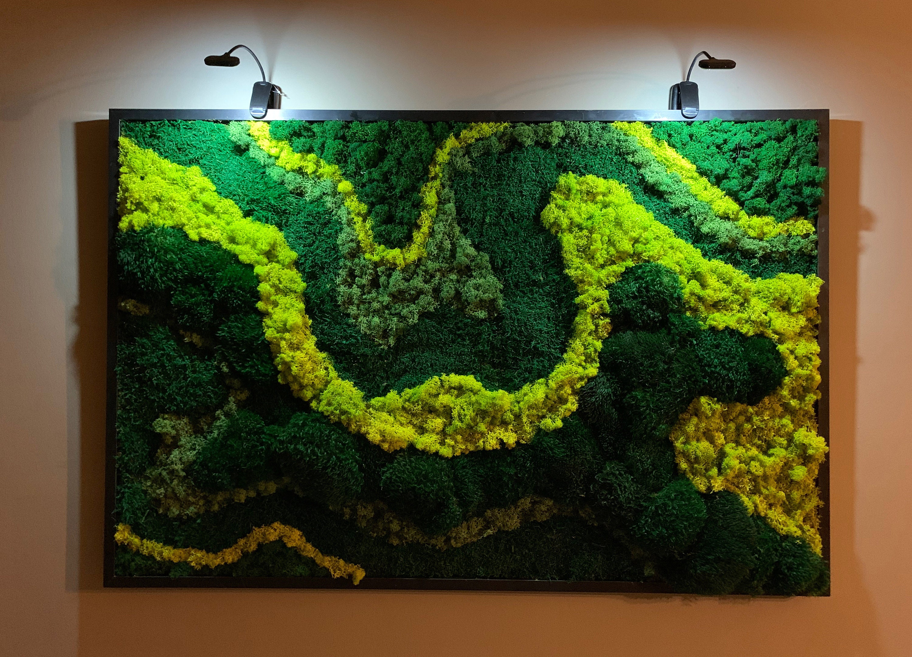 Preserved Moss Wall Art, LED Lighted Moss Wall Hanging, Led Lights 100% ...