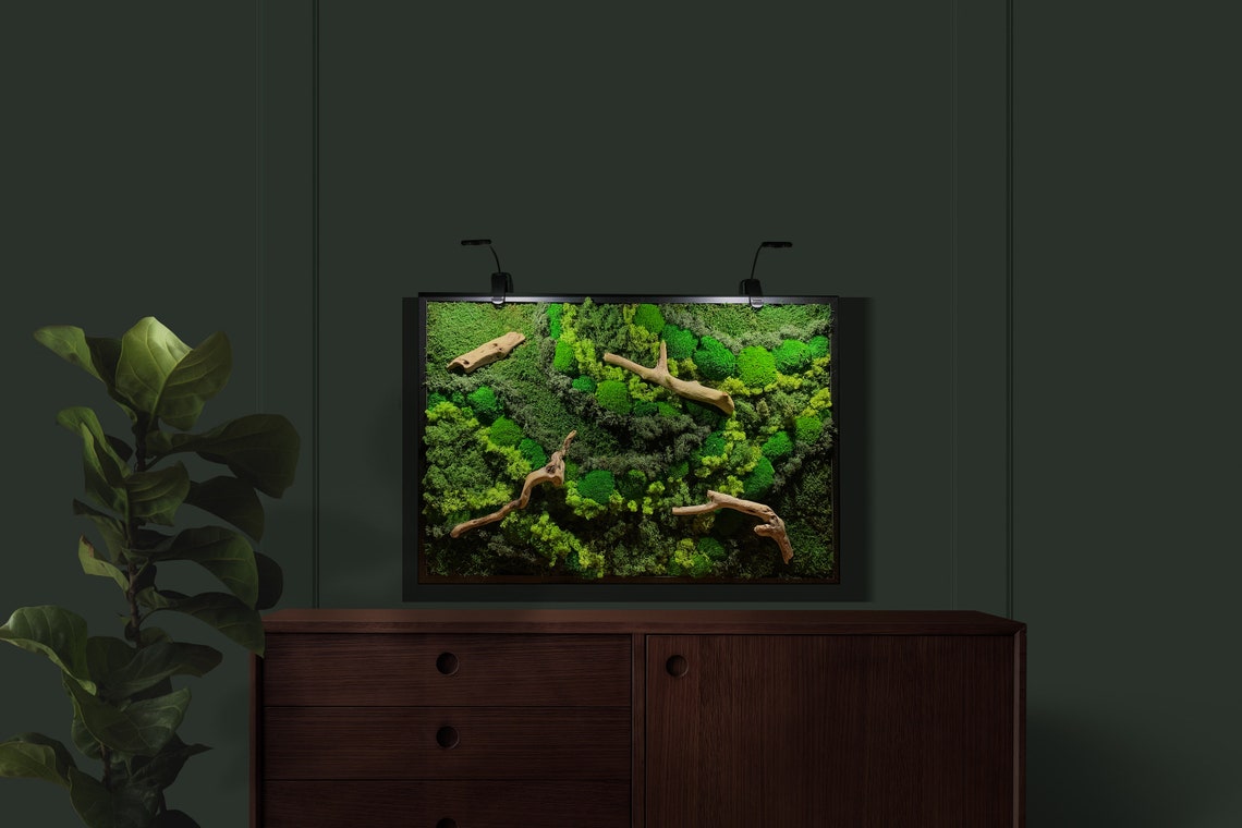 Preserved Moss Wall Art, LED Lighted Moss Wall Hanging, Driftwood and ...