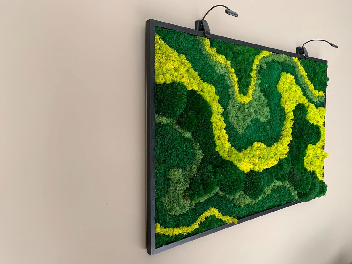 Preserved Moss Wall Art, LED Lighted Moss Wall Hanging, Led Lights 100% ...