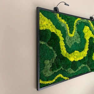 Preserved Moss Wall Art, LED Lighted Moss Wall Hanging, Led Lights 100% ...