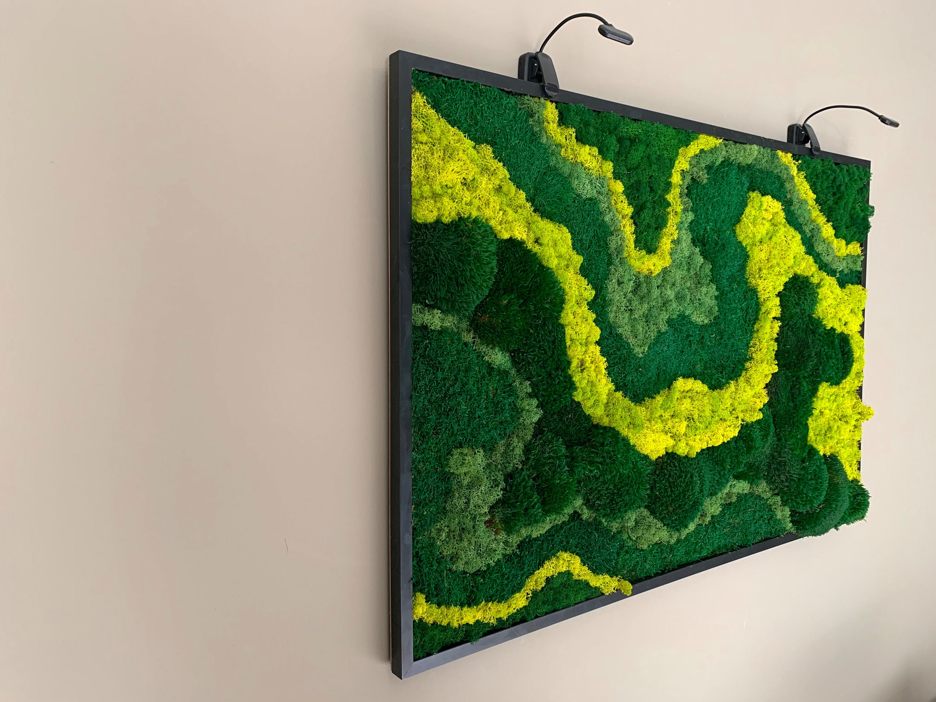 Preserved Moss Wall Art, LED Lighted Moss Wall Hanging, Led Lights 100% ...