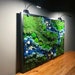 Preserved Moss Wall Art, LED Lighted Flowered Moss Wall Hanging, Led ...