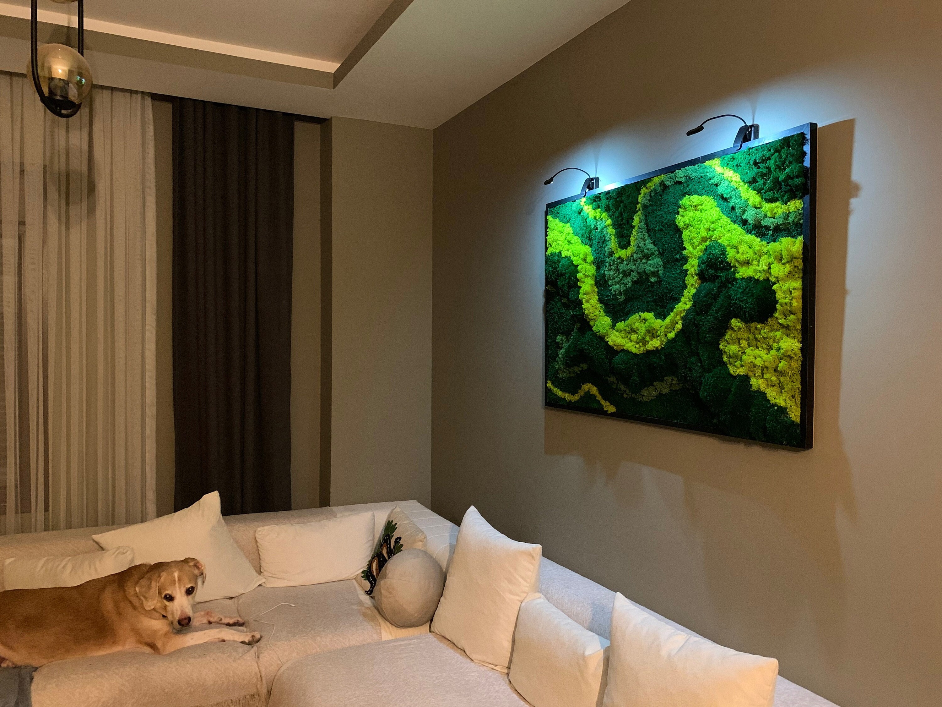 Preserved Moss Wall Art, LED Lighted Moss Wall Hanging, Led Lights 100% ...