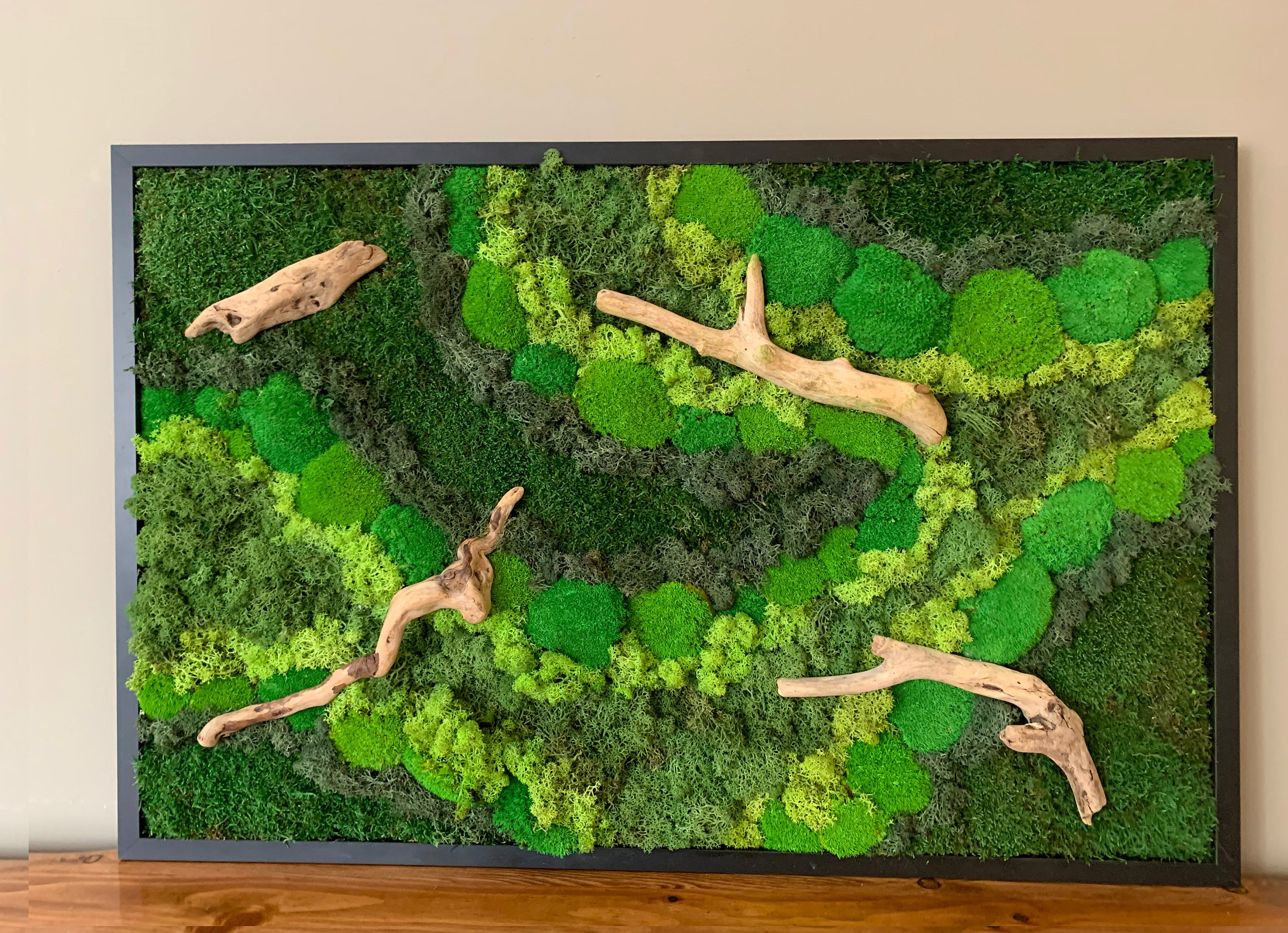 Preserved Moss Wall Art, LED Lighted Moss Wall Hanging, Driftwood and ...