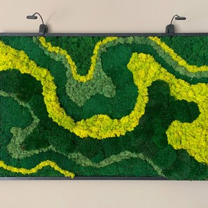 Preserved Moss Wall Art, LED Lighted Moss Wall Hanging, Led Lights 100% ...