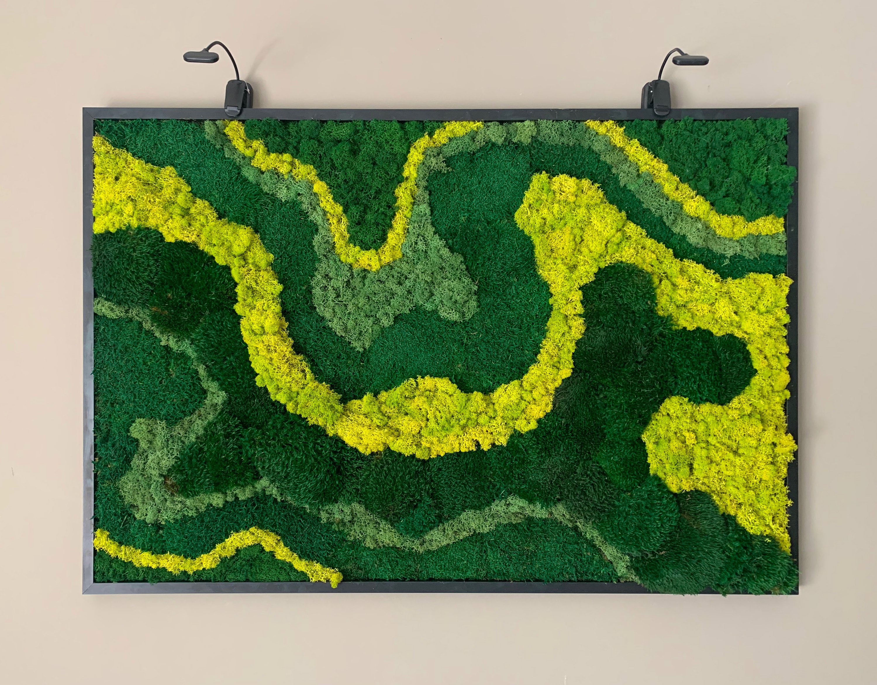 Preserved Moss Wall Art, LED Lighted Moss Wall Hanging, Led Lights 100% ...