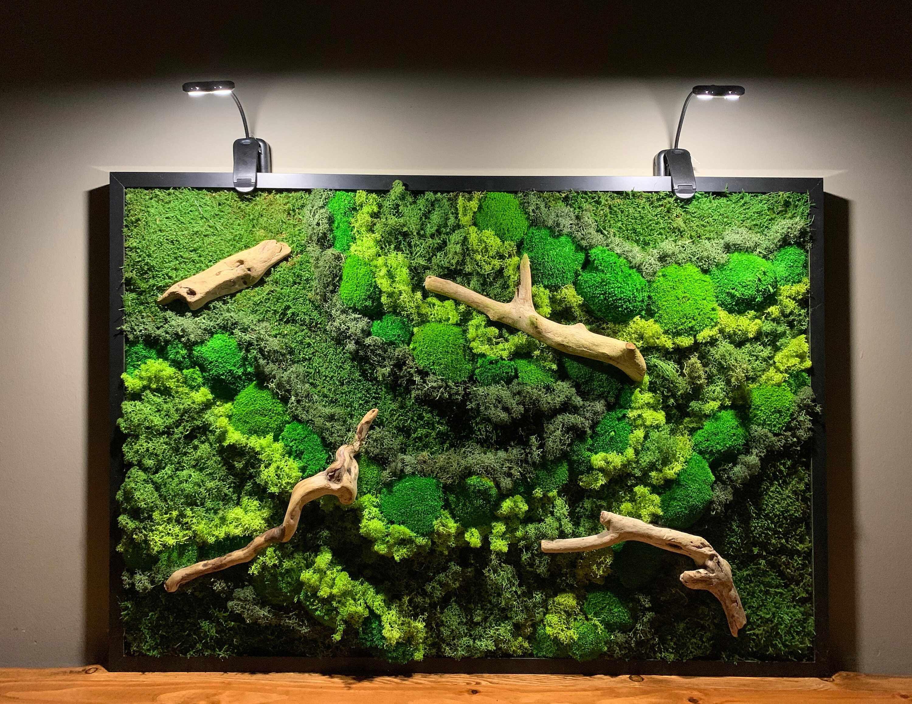 Preserved Moss Wall Art, LED Lighted Moss Wall Hanging, Driftwood and ...