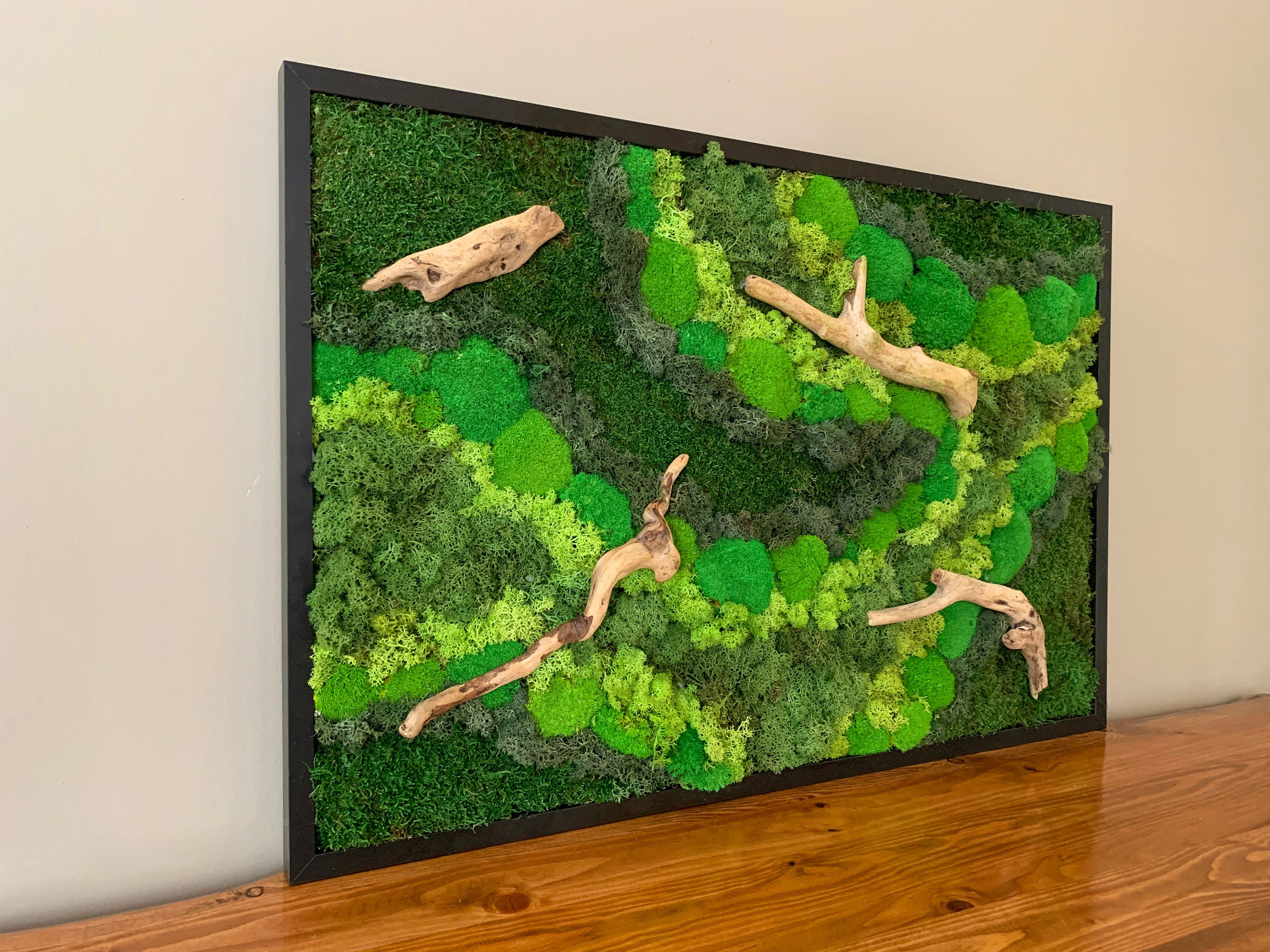Preserved Moss Wall Art, LED Lighted Moss Wall Hanging, Driftwood and ...