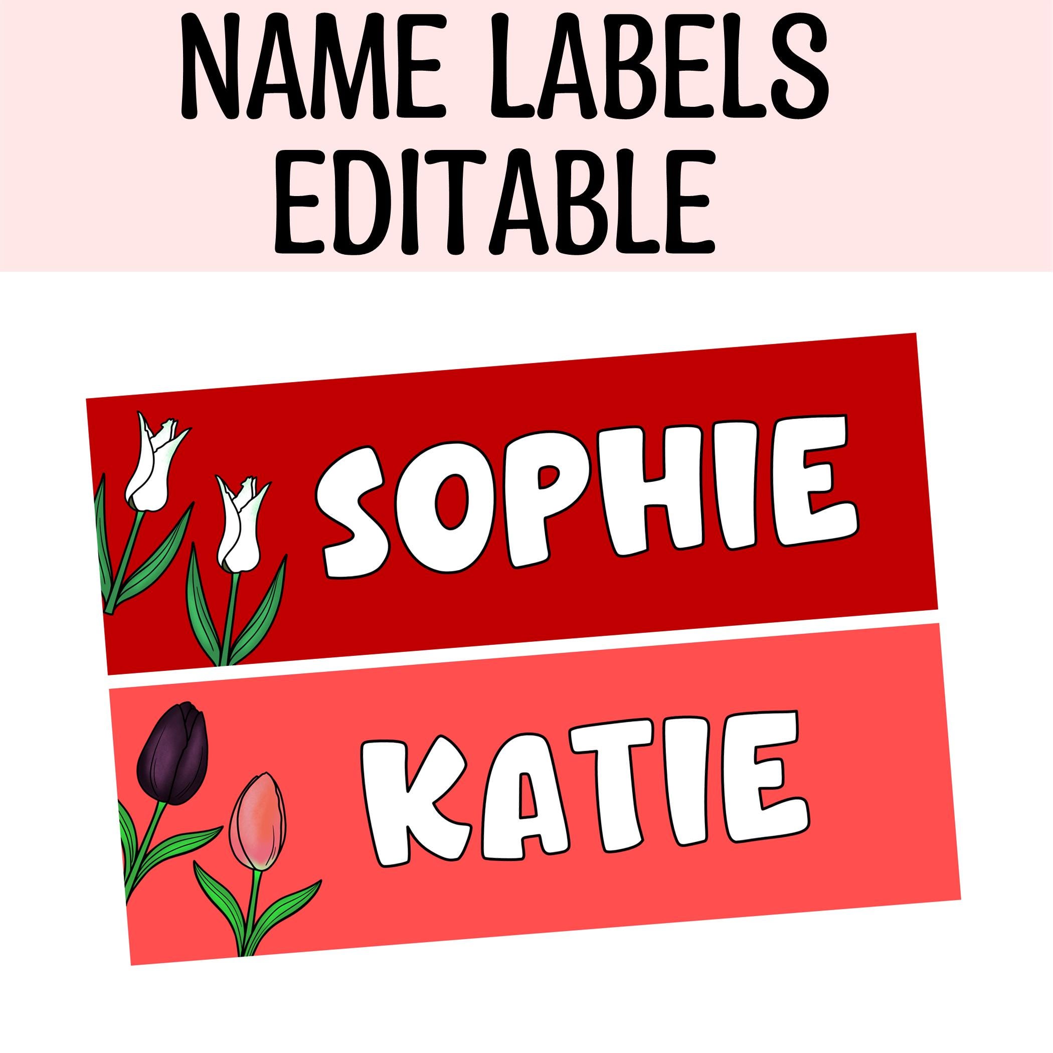 Printable Floral Name Labels, Spring Classroom Labels, Floral Desk ...