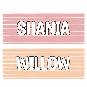 Student Name Labels, Pastel Color Name Tags, Student Cubby Name Plates ...