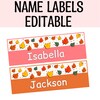 Black and White Classroom Labels, Student Name Tags, Printable ...